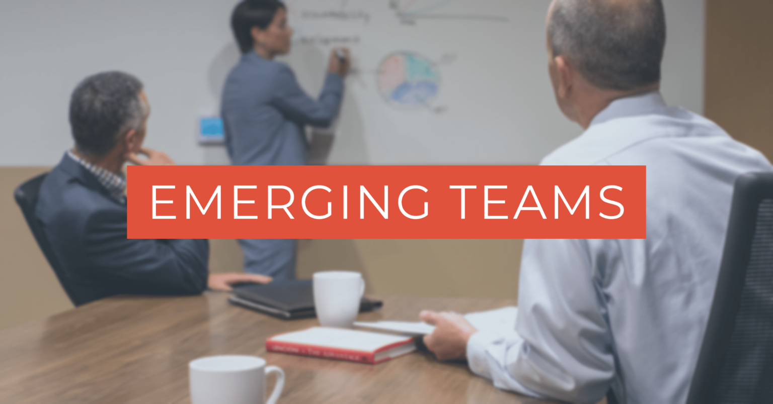 Emerging Teams: Developing Leaders for the Future - North Group Consultants