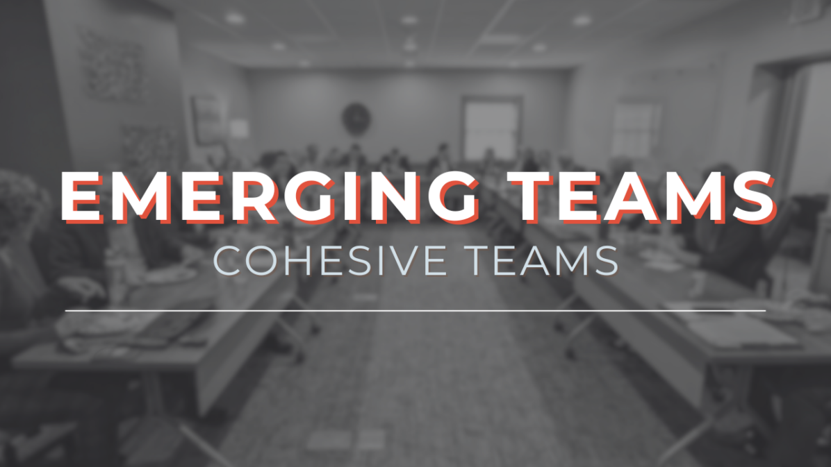 Emerging Teams: Cohesive Teams | Developing Leaders for the Future ...